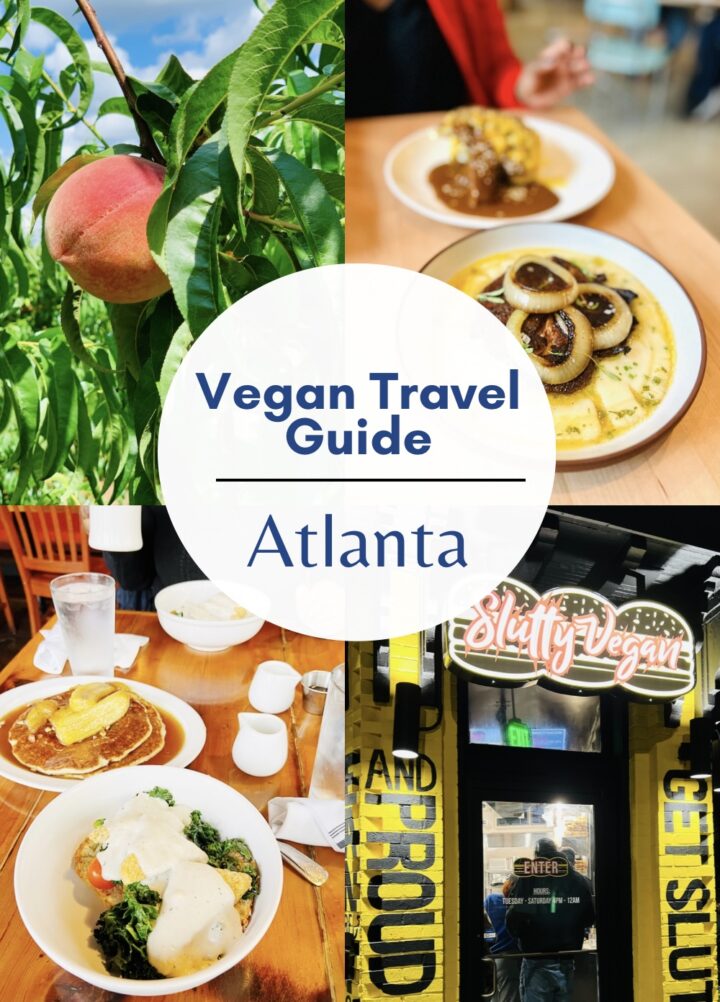 Best Places to Travel for Vegans - The VGN Way