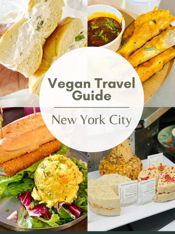 Vegan Restaurants In Chattanooga - The VGN Way